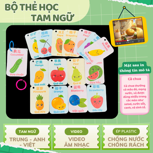 (Free 1 card) Set of 16 Three Language Learning Cards for Children to ...