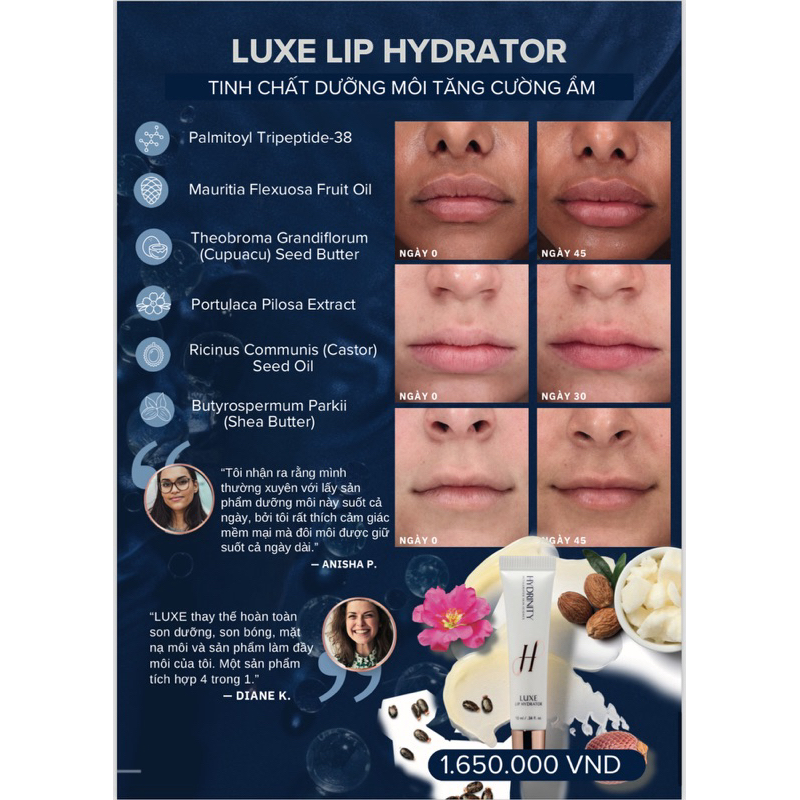 (DMN) Hydrinity - Luxe Lip Hydrator moisturizing Lip essence | Shopee ...