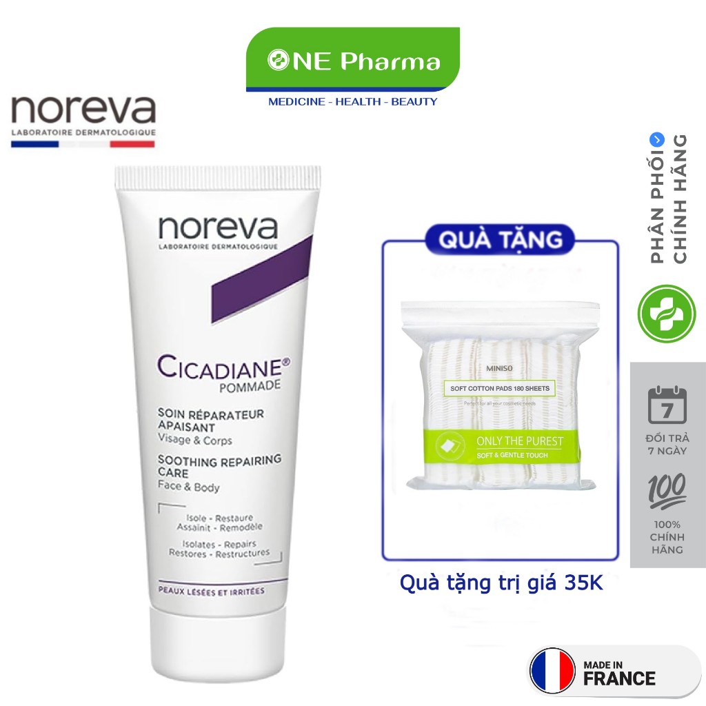 Noreva Cicadiane Cream 40ml | Shopee Malaysia