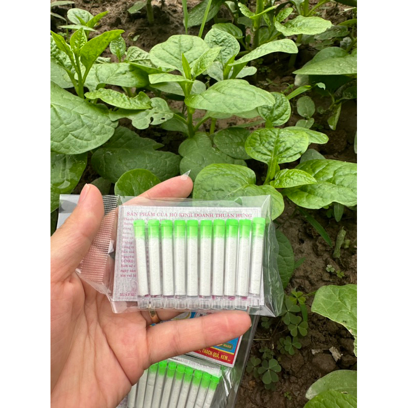 Vanilla tube, vanilla powder 25g blister pack (blister of 10 tubes ...