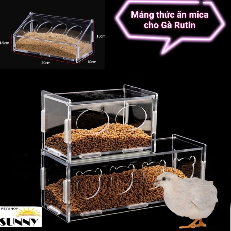 2mm thick mica food box for rutin chickens, quails, and chicks | Shopee ...