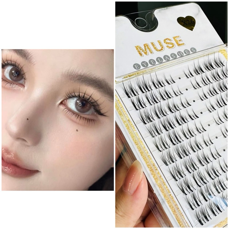 Mi Muse X26 eyelashes on high-end professional makeup with beautiful ...