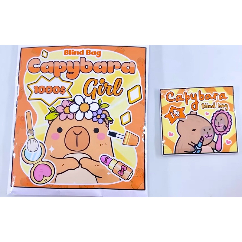 Handmade Set of Capybara Makeup blind bags $1 vs 1000$ - Handmade self ...