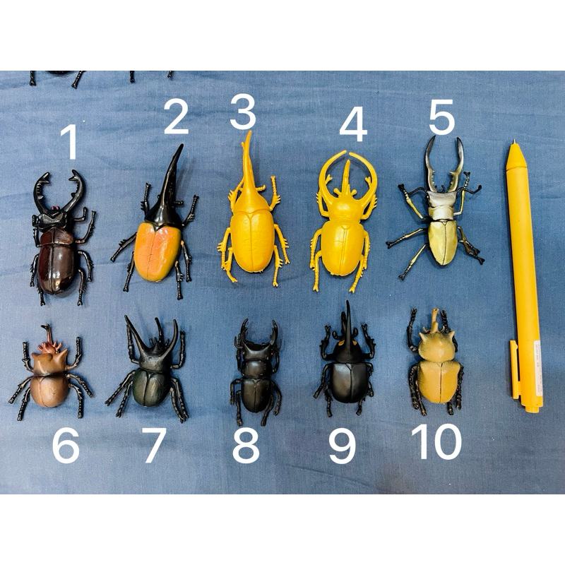 Genuine Scarab Model | Shopee Malaysia