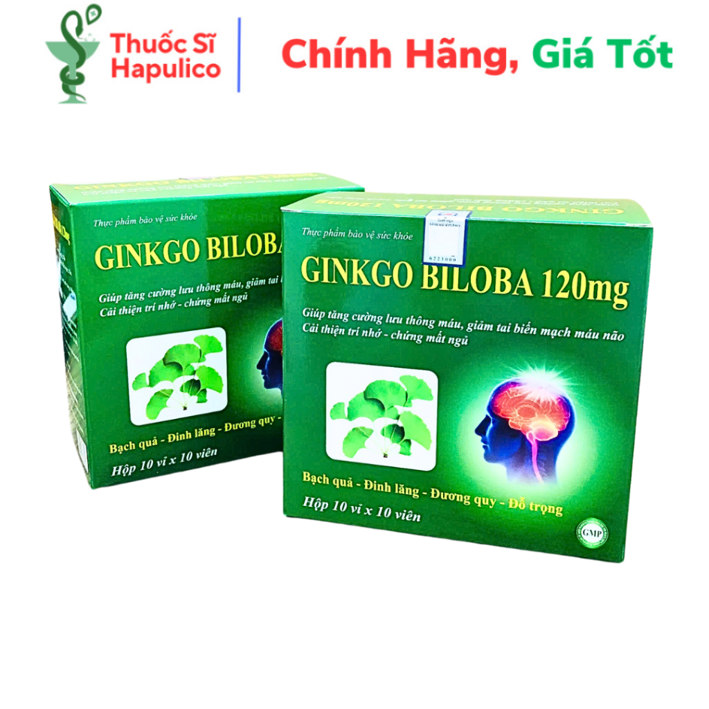 GINKGO BILOBA 120MG pills Support reducing symptoms caused by cerebral ...