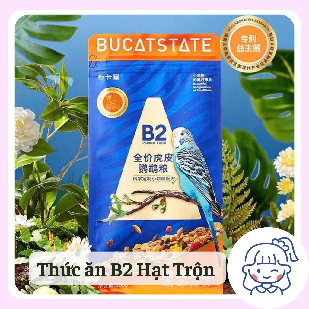 BUCATSTATE 500g Bag of B2 Nutritious Mixed Seeds for Smooth Fur for ...