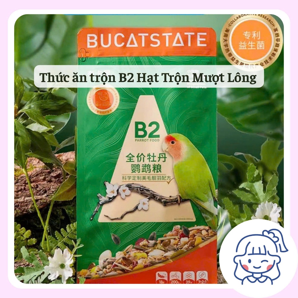 BUCATSTATE 500g Bag of B2 Food Mixed with Nutritious Seeds for Smooth ...