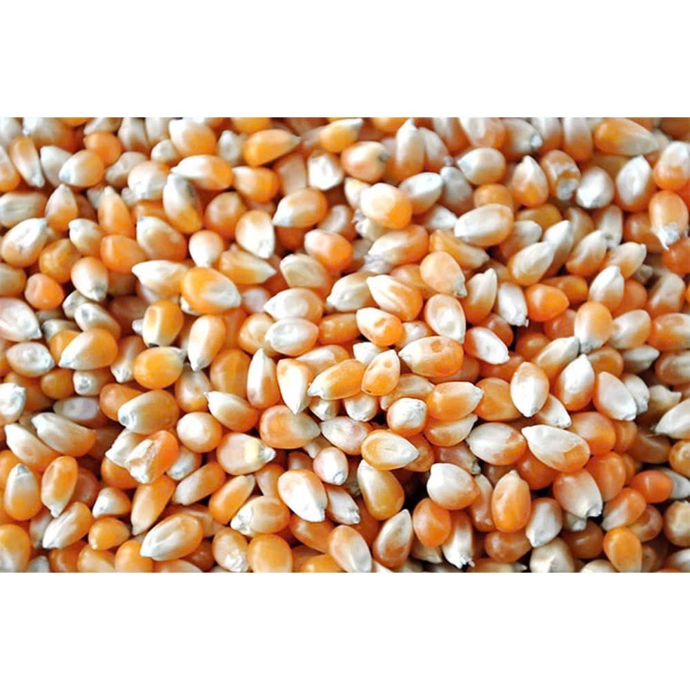 American popcorn (200g) | Shopee Malaysia