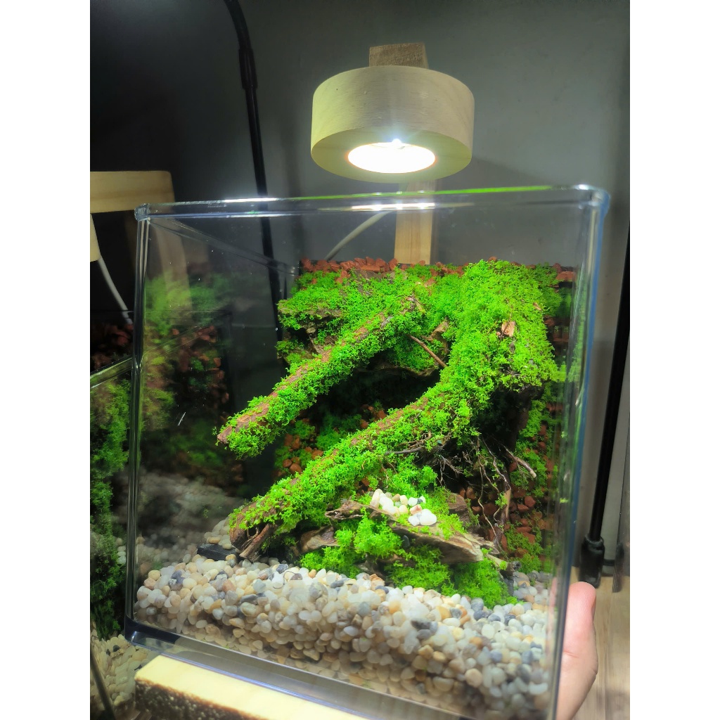 Combo Solid molded plastic pool with curved edges and super beautiful ...