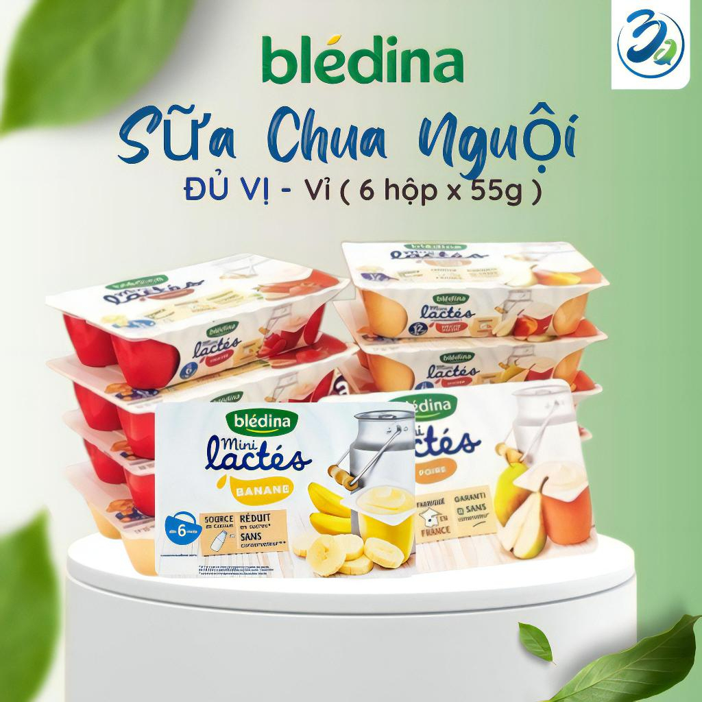 (Date 2025) Bledina French Cold Yogurt 330g Assorted Flavors (blister ...
