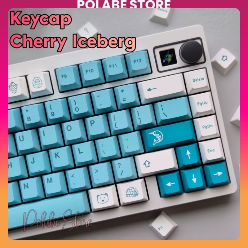 Keycap Iceberg Cherry profile mechanical keyboard Polabe Store Keycap ...