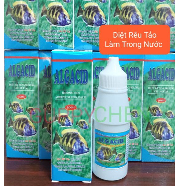 Algae Killing Solution for Aquariums - ALGACID 30ml | Shopee Malaysia