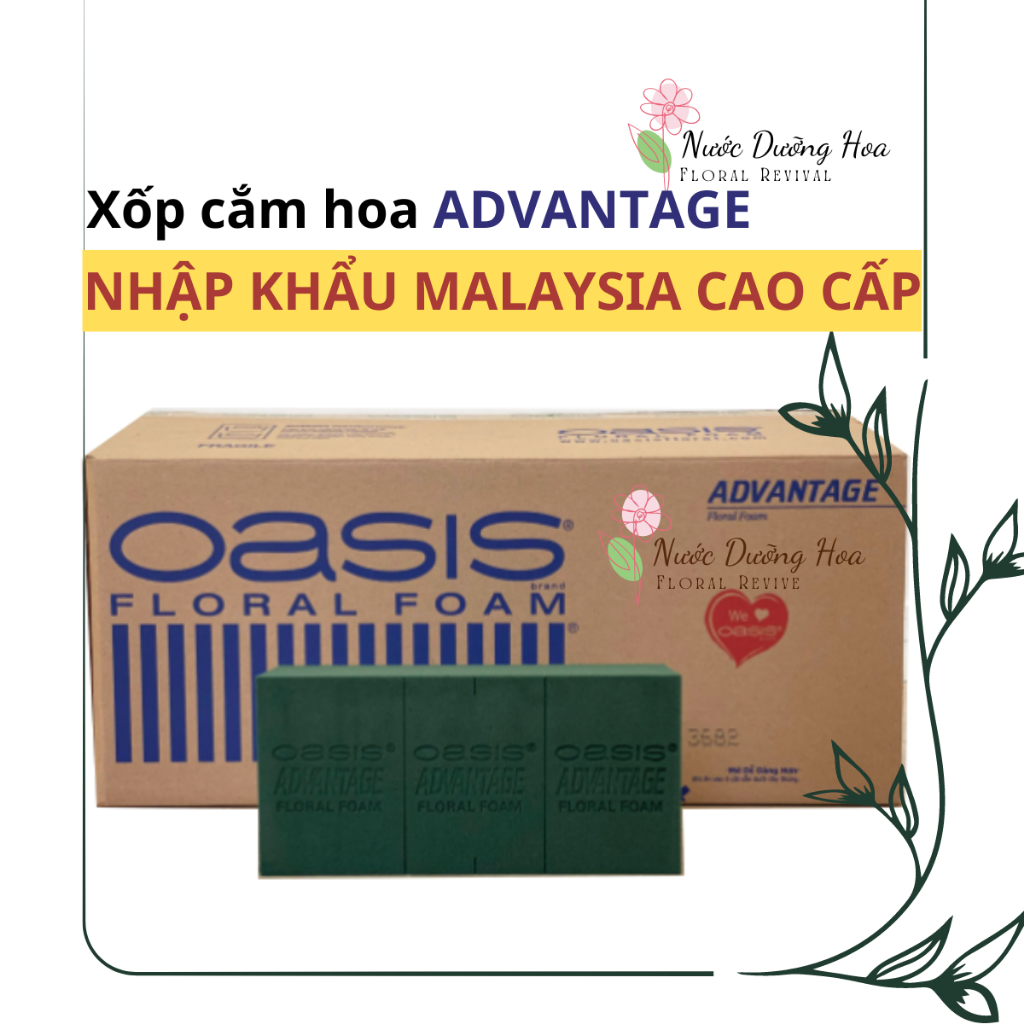 (Express) (Box Of 20) Oasis MALAYSIA Flower Arrangement Foam Absolutely ...