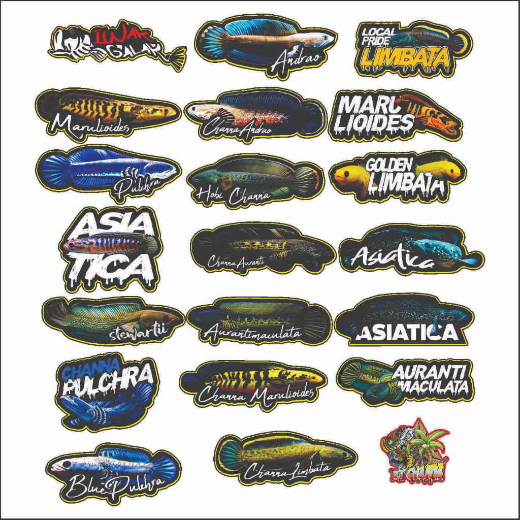 Indo-style random snakehead fish Sticker for aquarium - waterproof ...