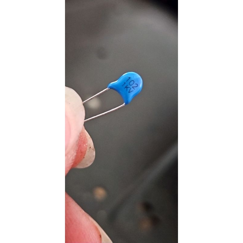 (10 Pieces) Ceramic capacitor 1kV 101, high voltage capacitor | Shopee ...