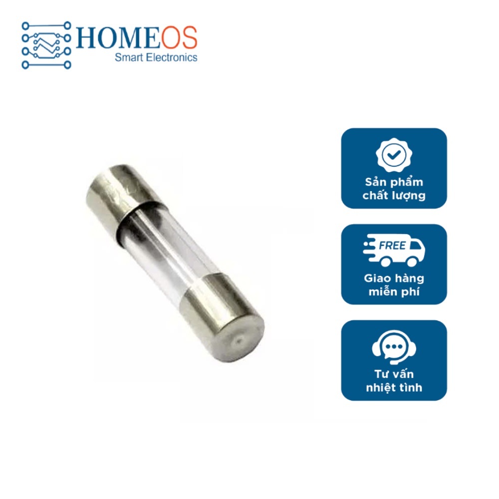 Glass fuse 2A 250V 5x20mm | Shopee Malaysia