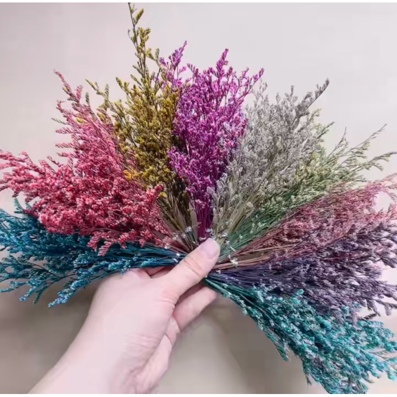 Dried shredded star flowers (love flowers) ️ handmade peacock star ...