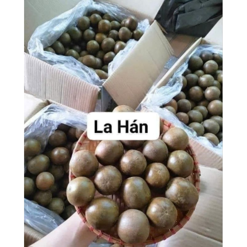 Arhat fruit (big old fruit type 1) | Shopee Malaysia
