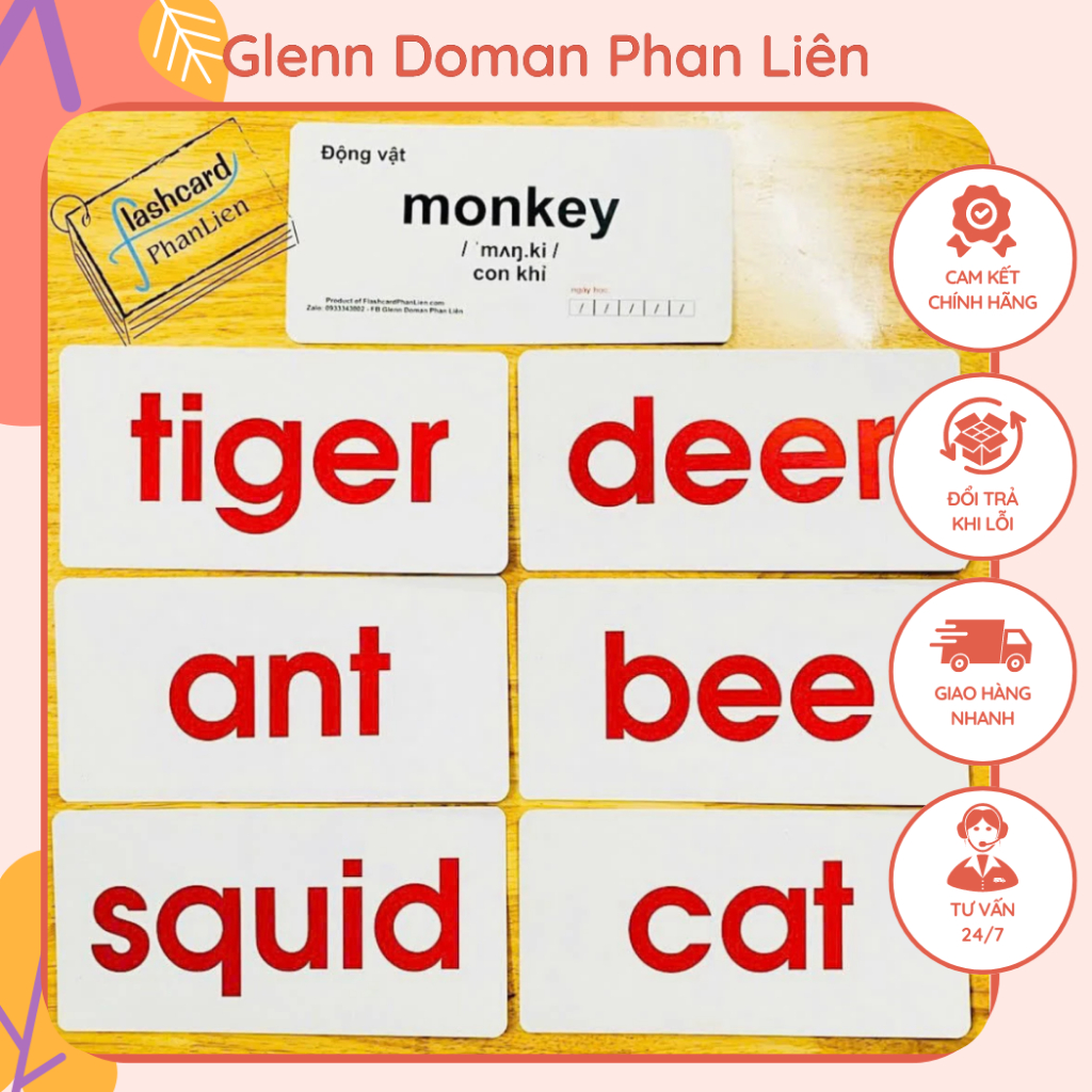 Single English word card set, flashcard set for learning English ...