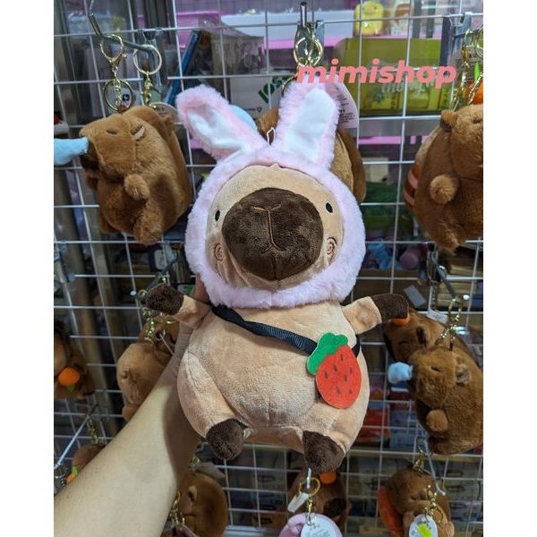 Small sized stuffed animals Labubu, Capybara, cartoons with many cute ...