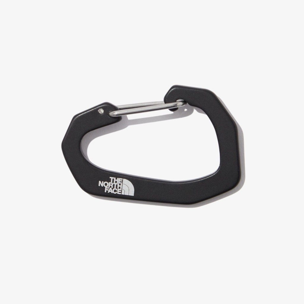 Premium D THE NORTH FACE LOGO CARABINER keychain | Shopee Malaysia