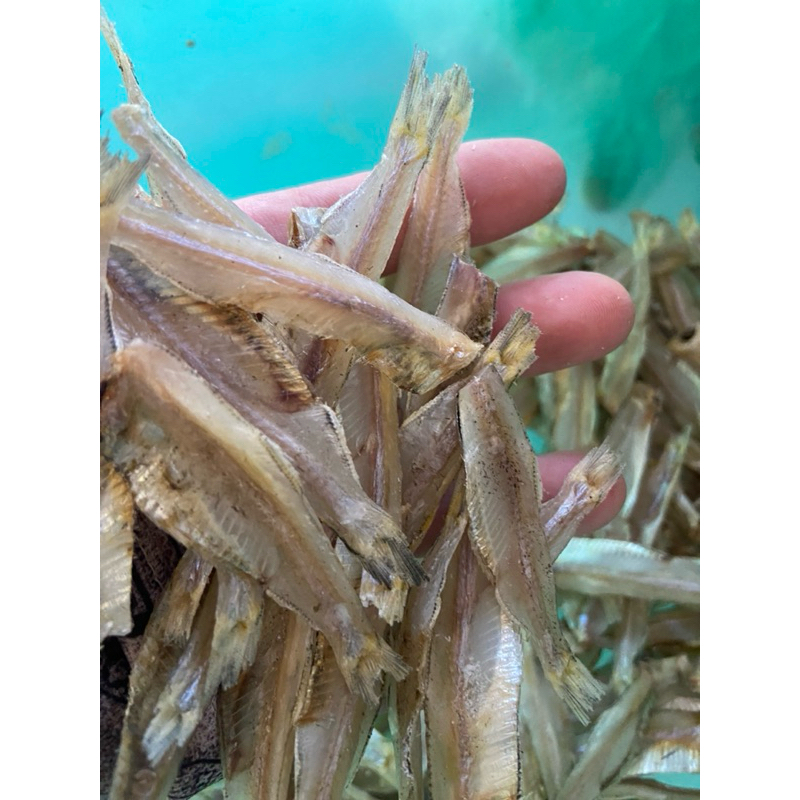 500 grams of very dry and light MAI FISH (fish with head removed ...