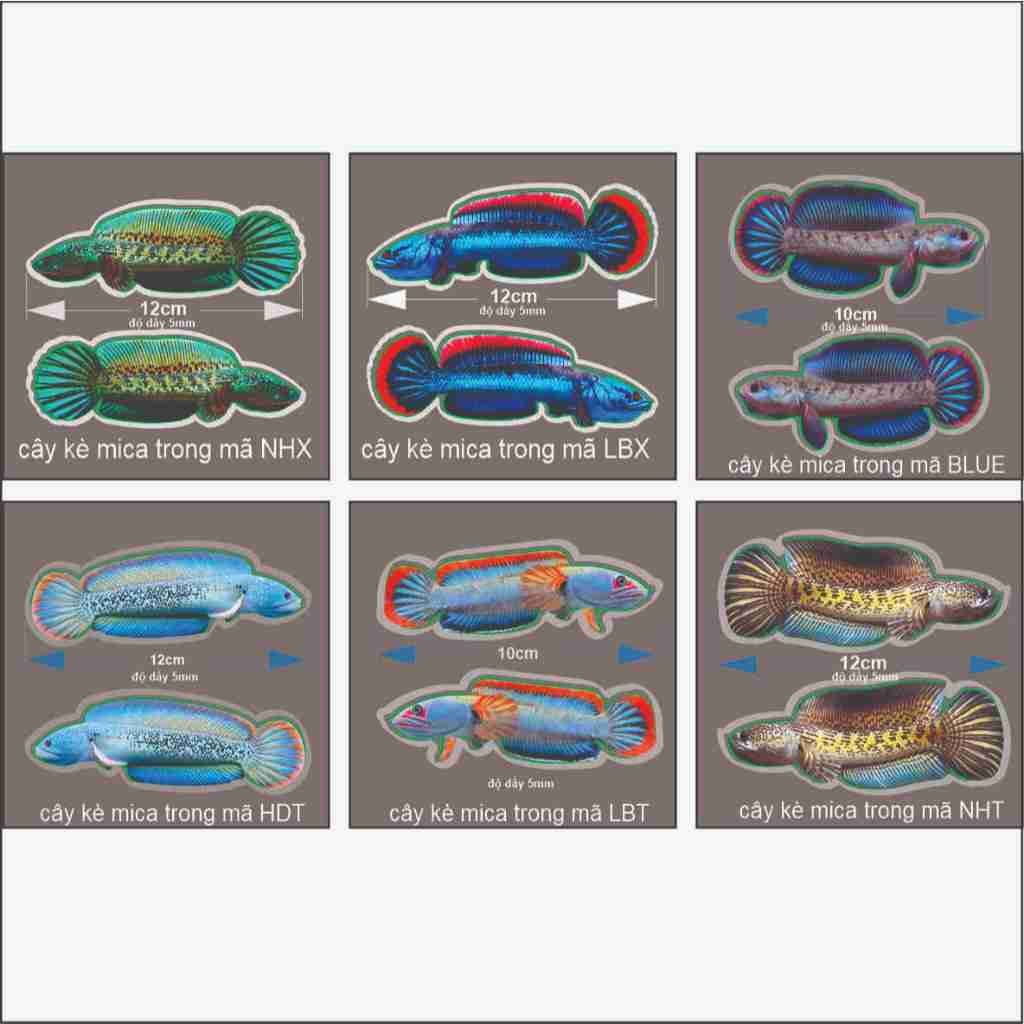 Gecko fish made of 2-layer clear mica, 5mm thick, sharp color, fig fish ...