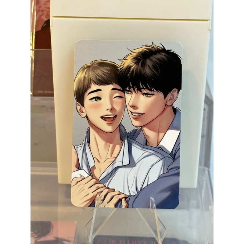 [OFF, Available] BJ ALEX rounded corner card (Korean version) - with ...