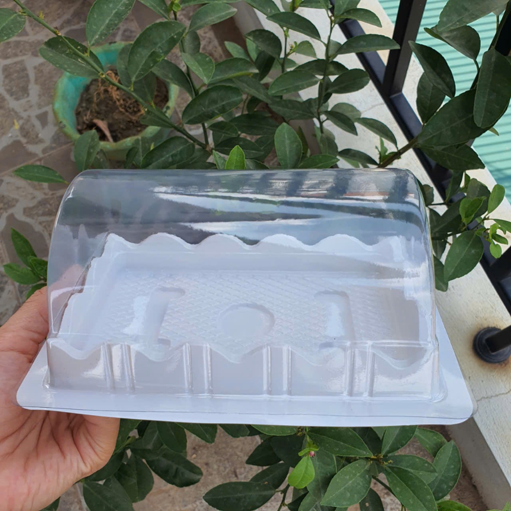 Set of 100 domed plastic boxes for rolled sponge cakes - Black and ...