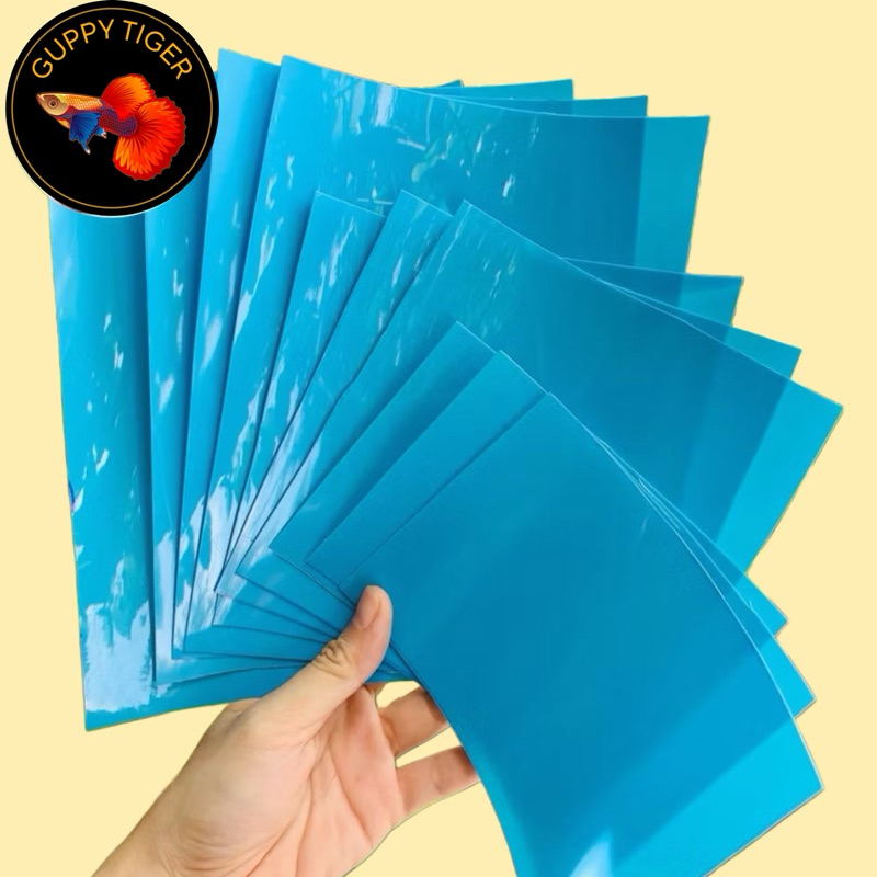 Betta FISH COVER PLASTIC SHEET - FISH COMPARTMENT, HELPING FISH FIGHT ...