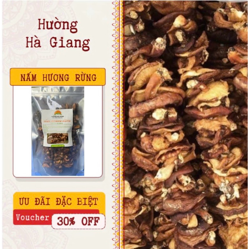 Ha Giang forest shiitake mushrooms, natural wild shiitake mushrooms ...