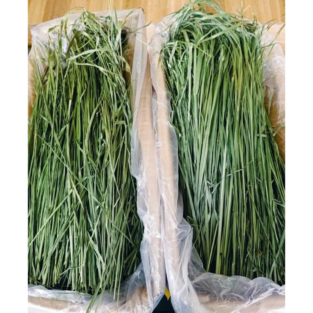 Freeze-dried whole young Timothy grass, 1kg box for rabbits, bugs ...