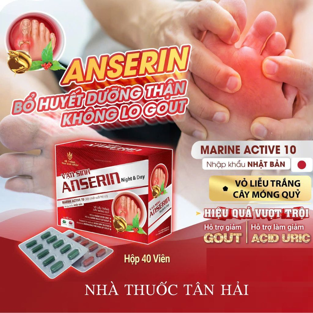 Gout VAN SINH ANSERIN Night & Day tablets help reduce uric acid ...