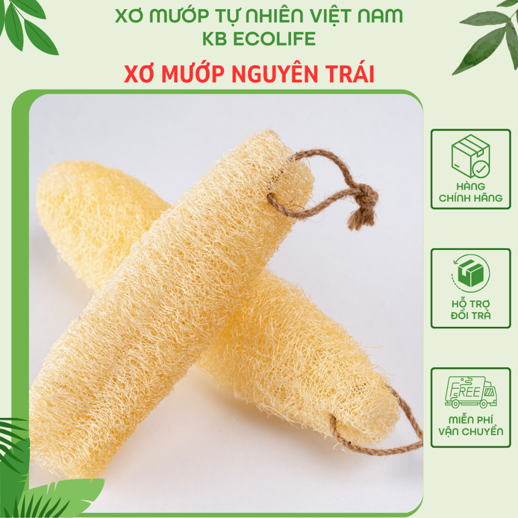 Kb Ecolife Benign Whole Loofah Completely Natural No Bleach And Toxic ...