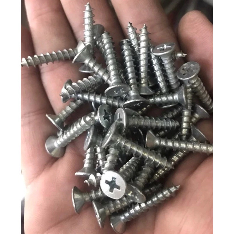 Iron screws 2cm, 3cm and 5cm 100gram pack | Shopee Malaysia