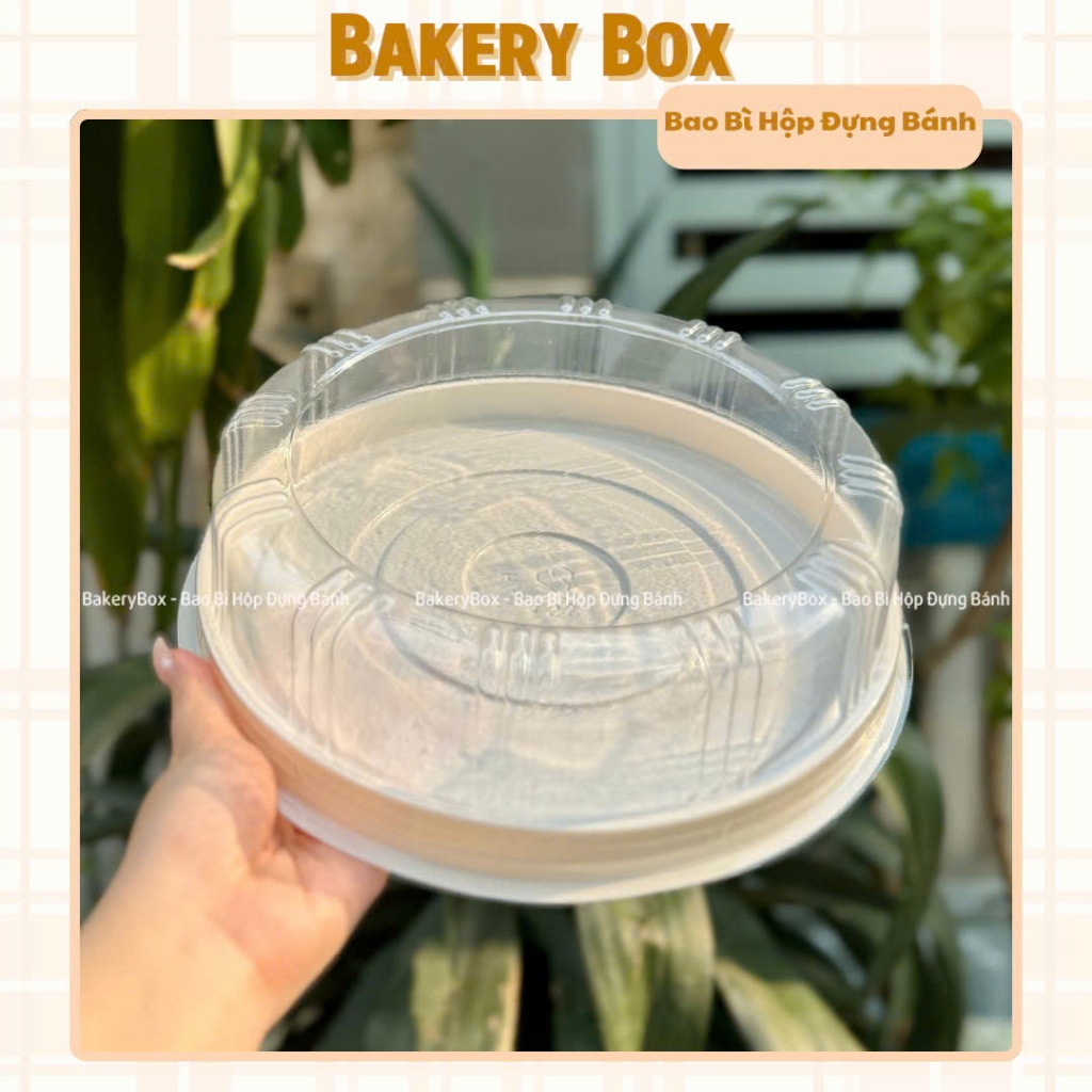 (H122 | 7cm) | 50 Round Plastic Boxes for Carp Jelly, Sponge Cake, Gold ...