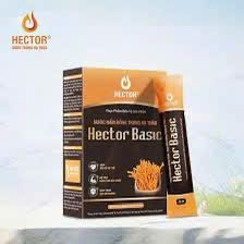 Hector bassic - Cordyceps water hector box in packet form. | Shopee ...