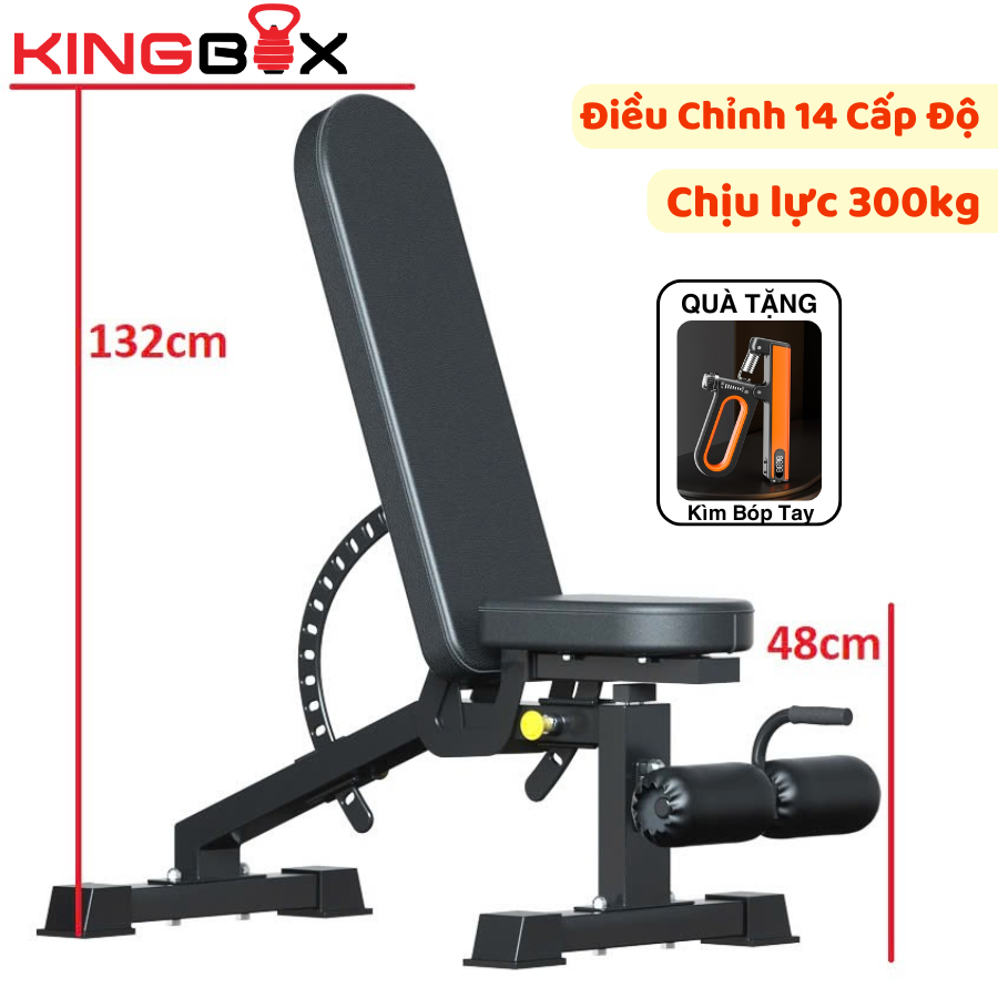 Multifunctional Gym Chair BP-010, 400kg Heavy Duty Weight Training ...