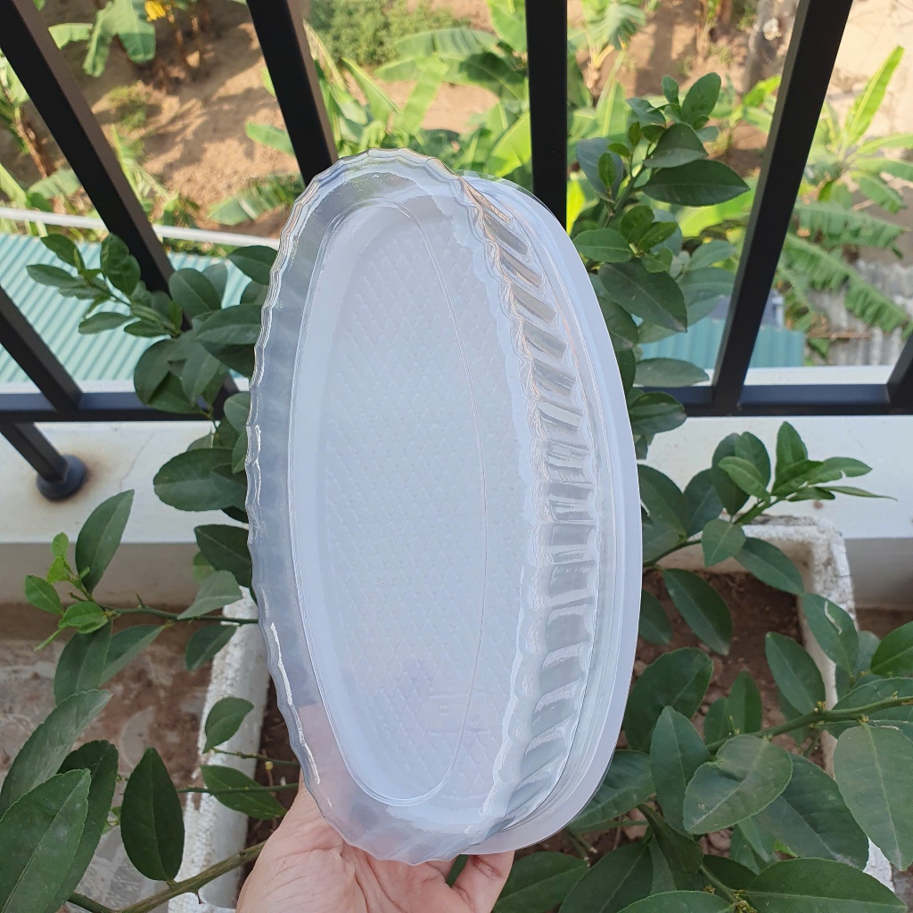 Set of 50 Oval Plastic Cake Boxes with White Base F70 | Shopee Malaysia