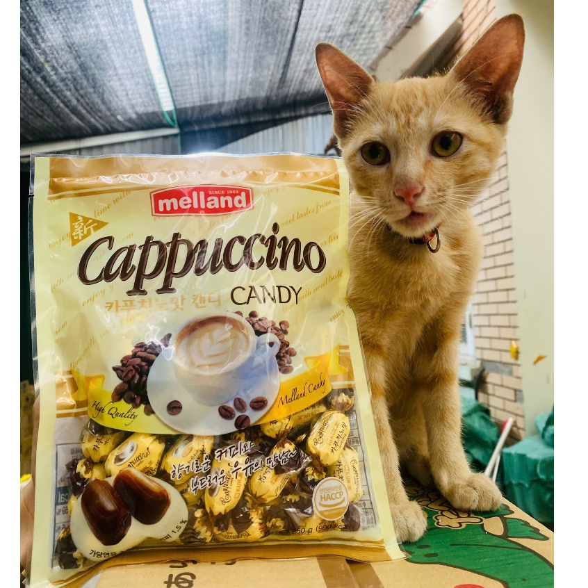 [DATE 01/2026] Korean Melland milk coffee cappuccino candy 300g ...