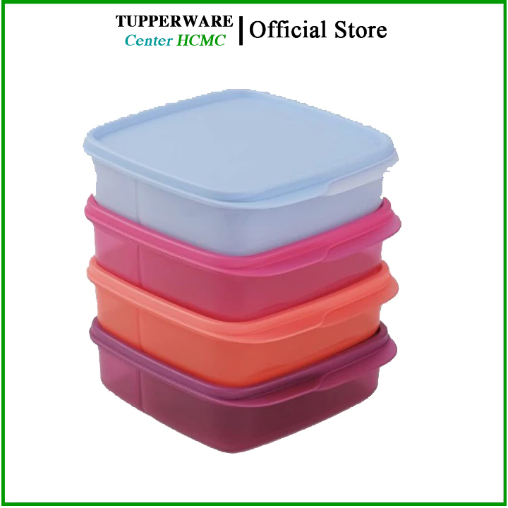 Lolly Tup Divided Lunch Box - Tupperware (1 box) | Shopee Malaysia