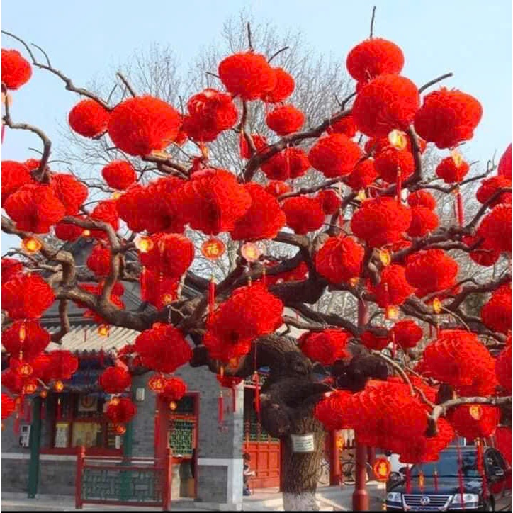 Mini red lanterns hanging to decorate CNY and Mid-Autumn Festival ...