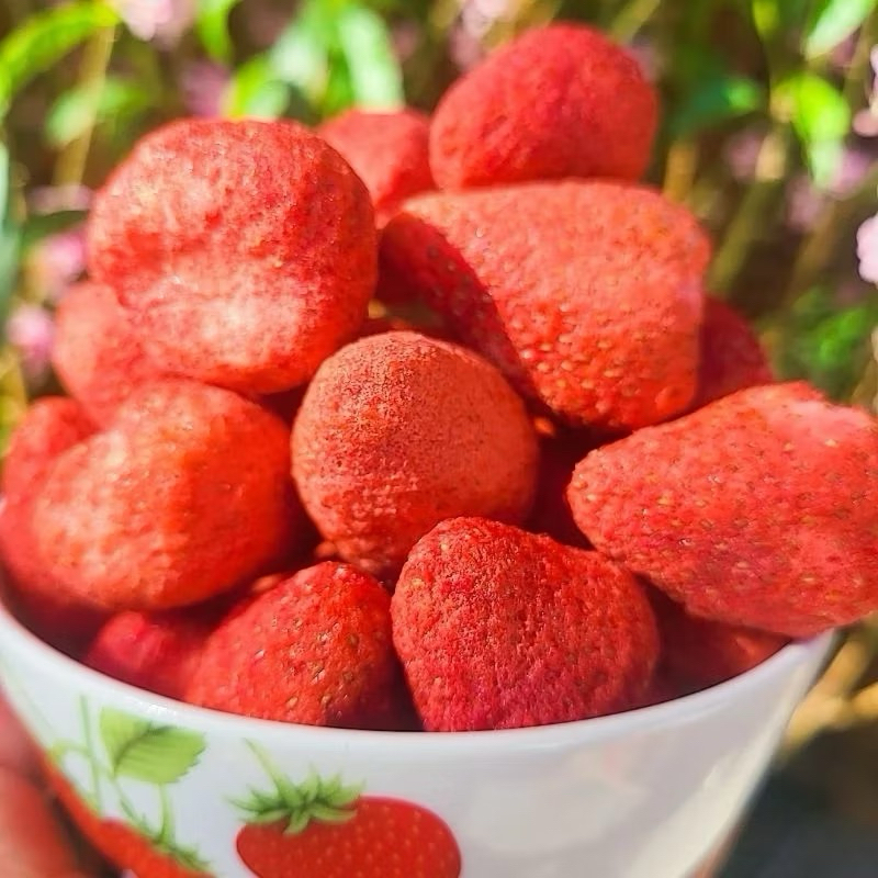 Crispy Dried Strawberries 100g | Shopee Malaysia