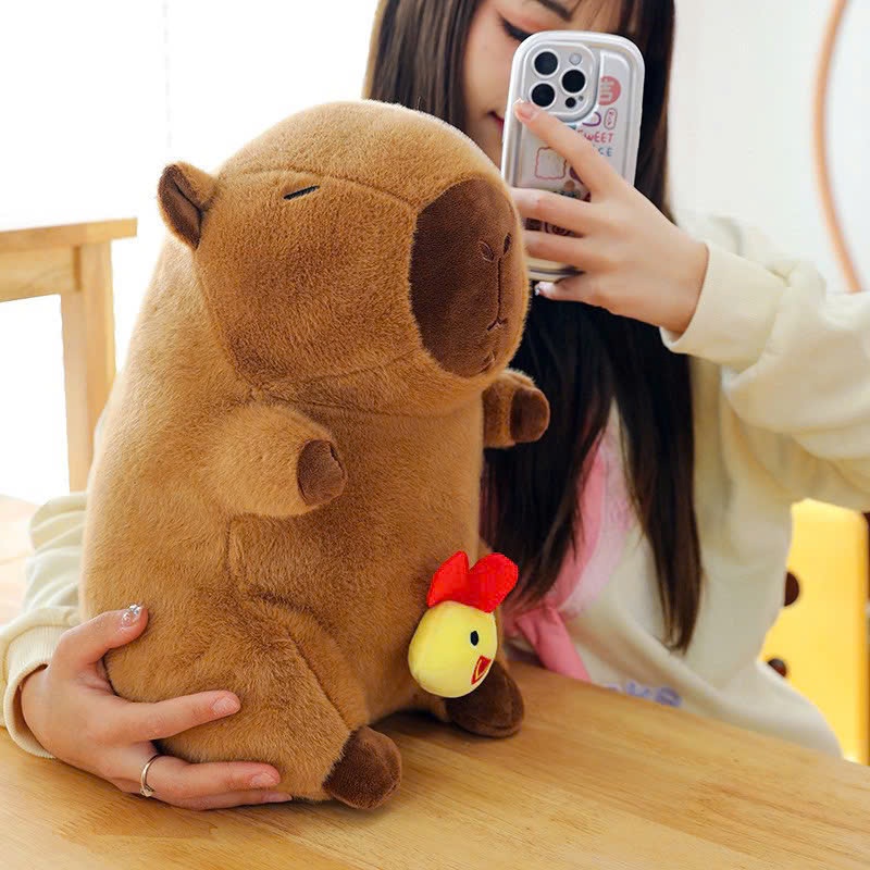 Capybara teddy bear with chicken size 45CM and size 55CM, high quality ...