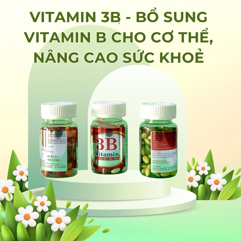 Vitamin 3B Vinaphar 1 (bottle of 100 soft capsules) | Shopee Malaysia