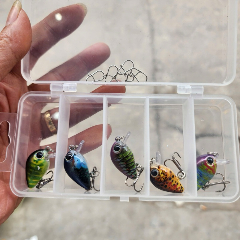 Set of 5 3D fly baits - Comes with box and lock. Extremely sensitive ...