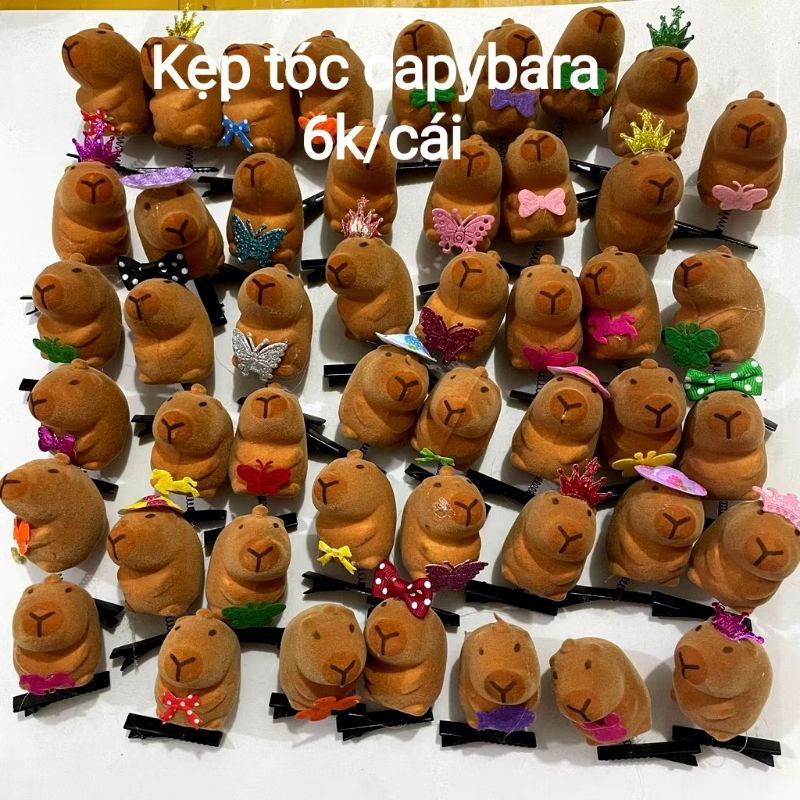 Combo of 5 Labubu hairpins (capybara) | Shopee Malaysia