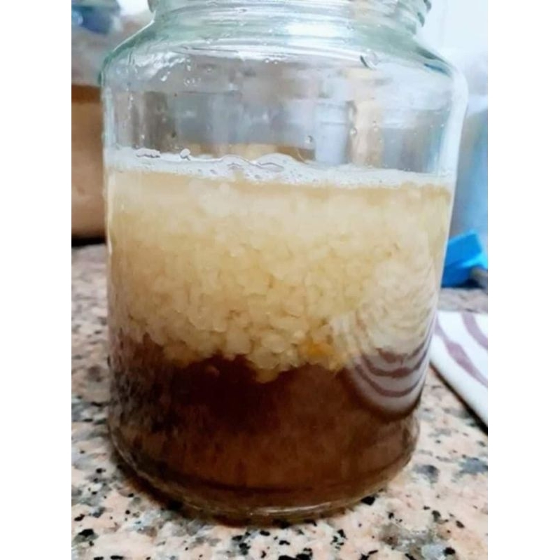 40g Super probiotic Kefir Water mushroom improves digestion, relieves ...
