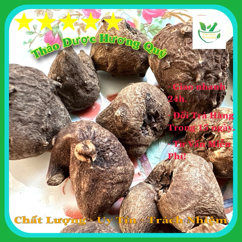 500g Dried, Clean, Grade 1 Chinese Clam Root (Chinese Bear, Chinese ...