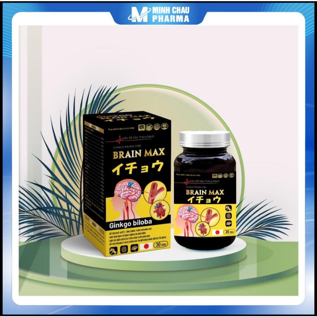 Ginkgo Brain Max Brain supplement - Supports blood circulation, helps ...